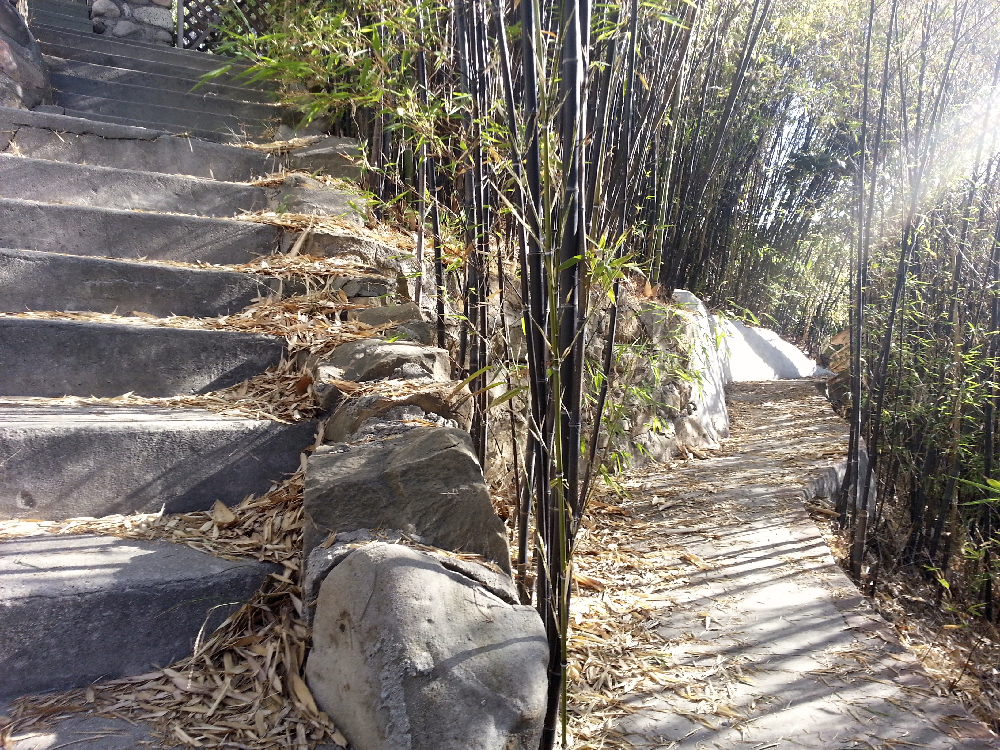 Echo Park / Elysian Heights Secret Stairs | Los Angeles On Foot Echo Park / Elysian Heights Secret Stairs | Los Angeles On Foot